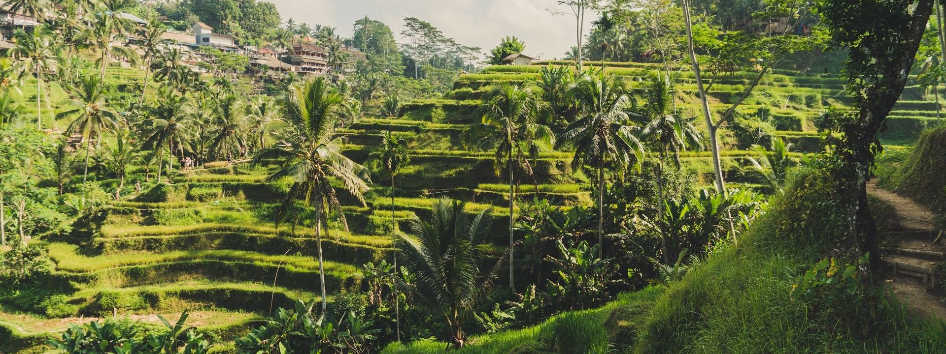 Ubud - OK Divers Resort & SPA